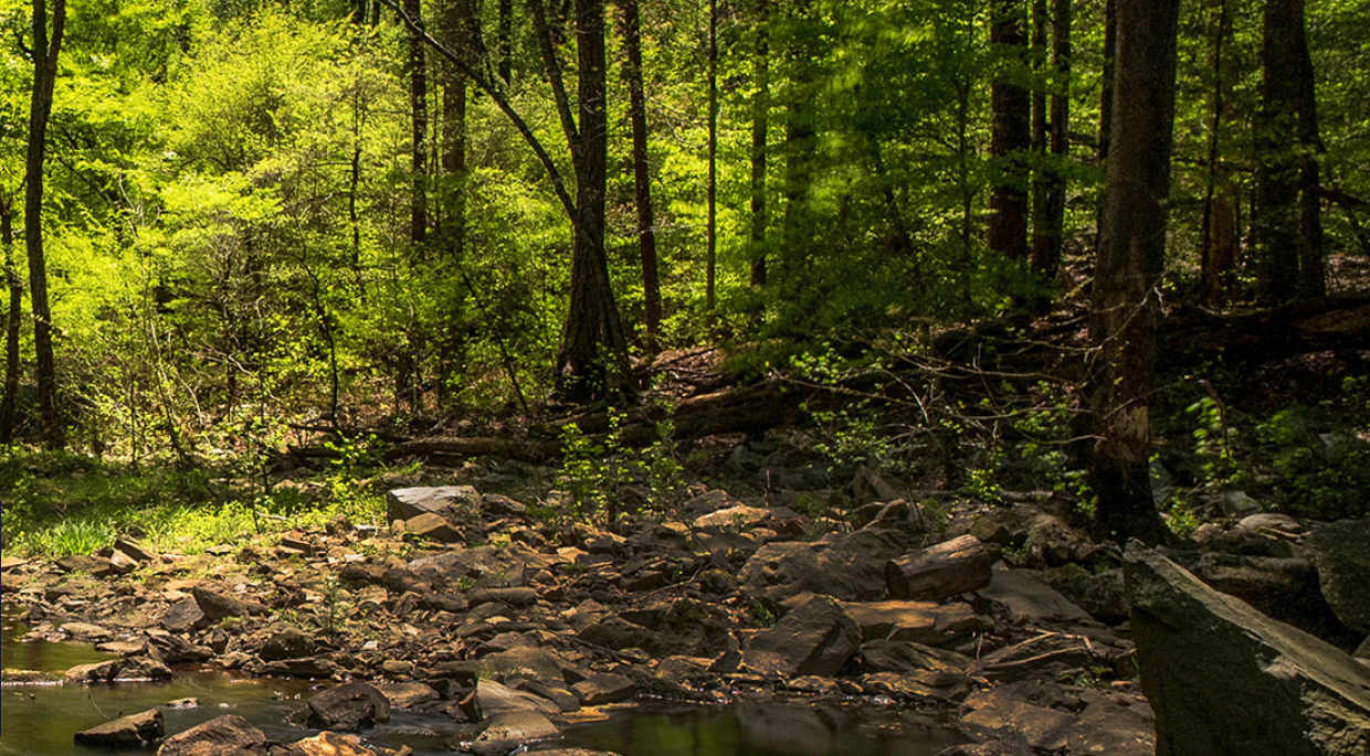 Wake Stone to defend quarry permit against Umstead Coalition lawsuit