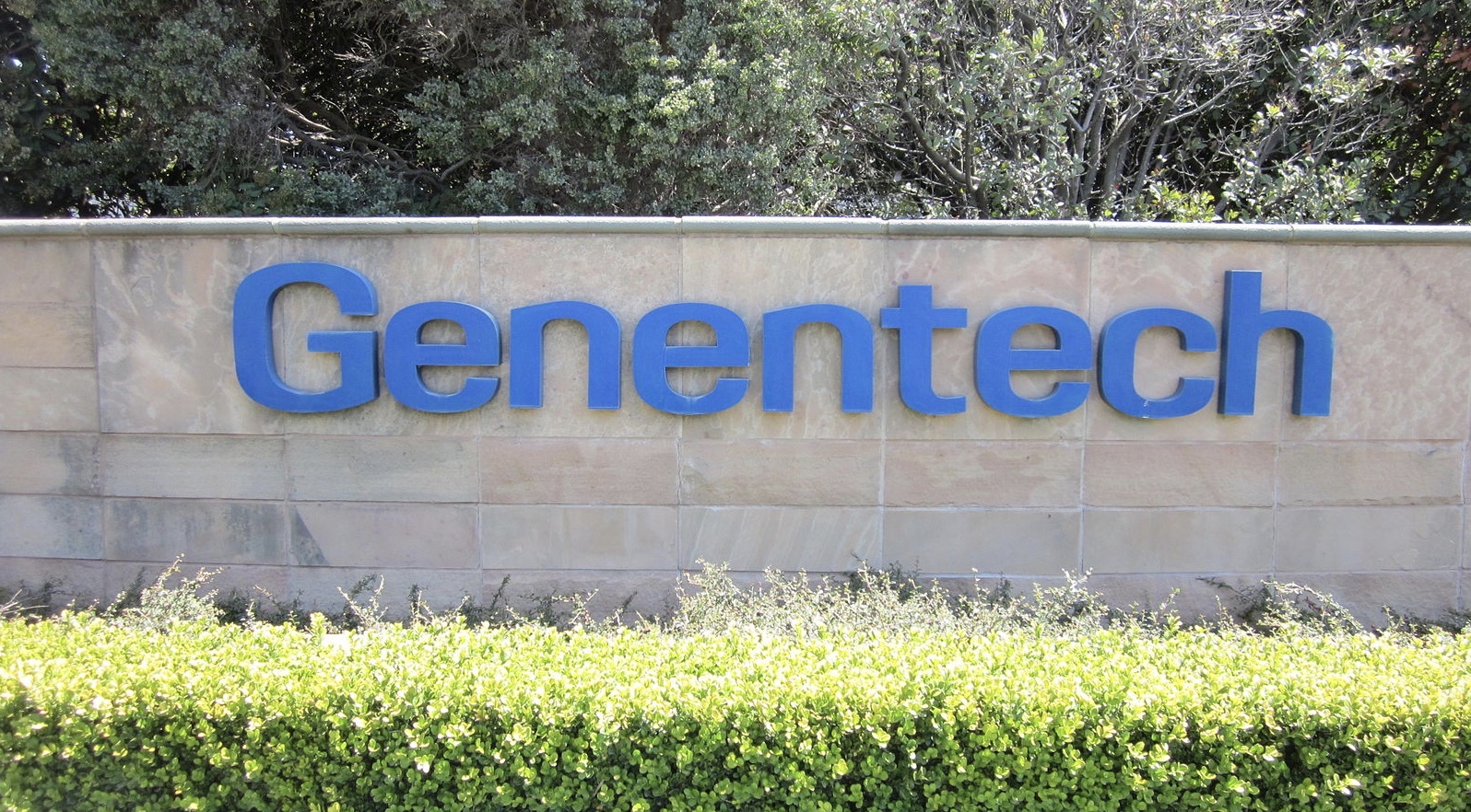 Biotech company Genentech breaks ground on Holly Springs facility
